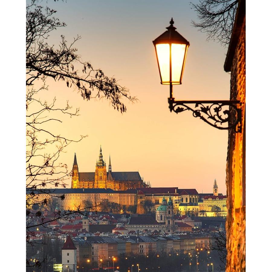 夕暮れから夜明けまで LED電球 フォトセルセンサー電球 自動オン/オフ ST58 ST19 W白熱電球交換用 エジソンE26 8W 800lm 温白 : 3511-038636 : にゃん ...