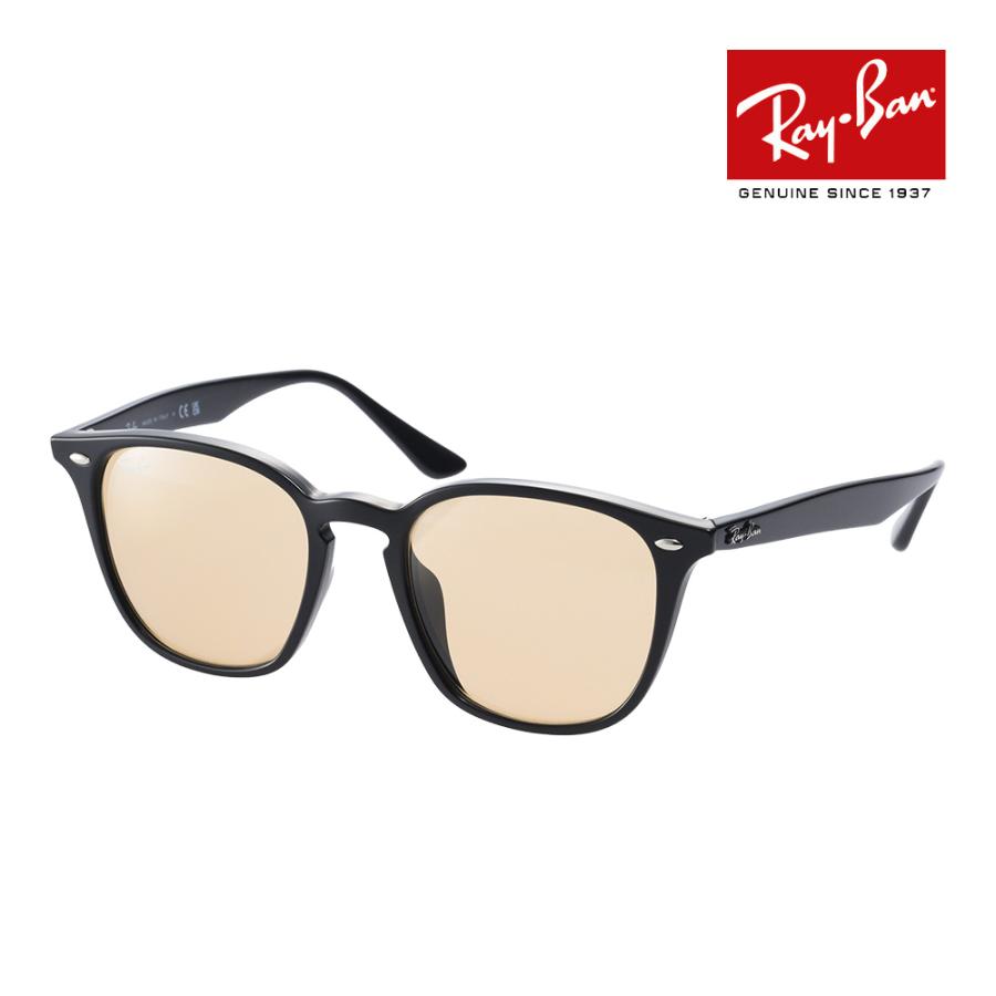 Ray-Ban レイバン サングラス RB4258F 601/93 52サイズ ローブリッジフィット RAYBAN 選べるプレゼント付 ...