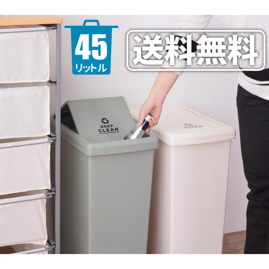 東谷 日本製 スライドペール 45L LFS-763 キッチン ゴミ箱 ダストボックス おしゃれ シンプル ペールカン フタ付 新生活 : オブザベーションズ - 通販 - Yahoo!ショッピング
