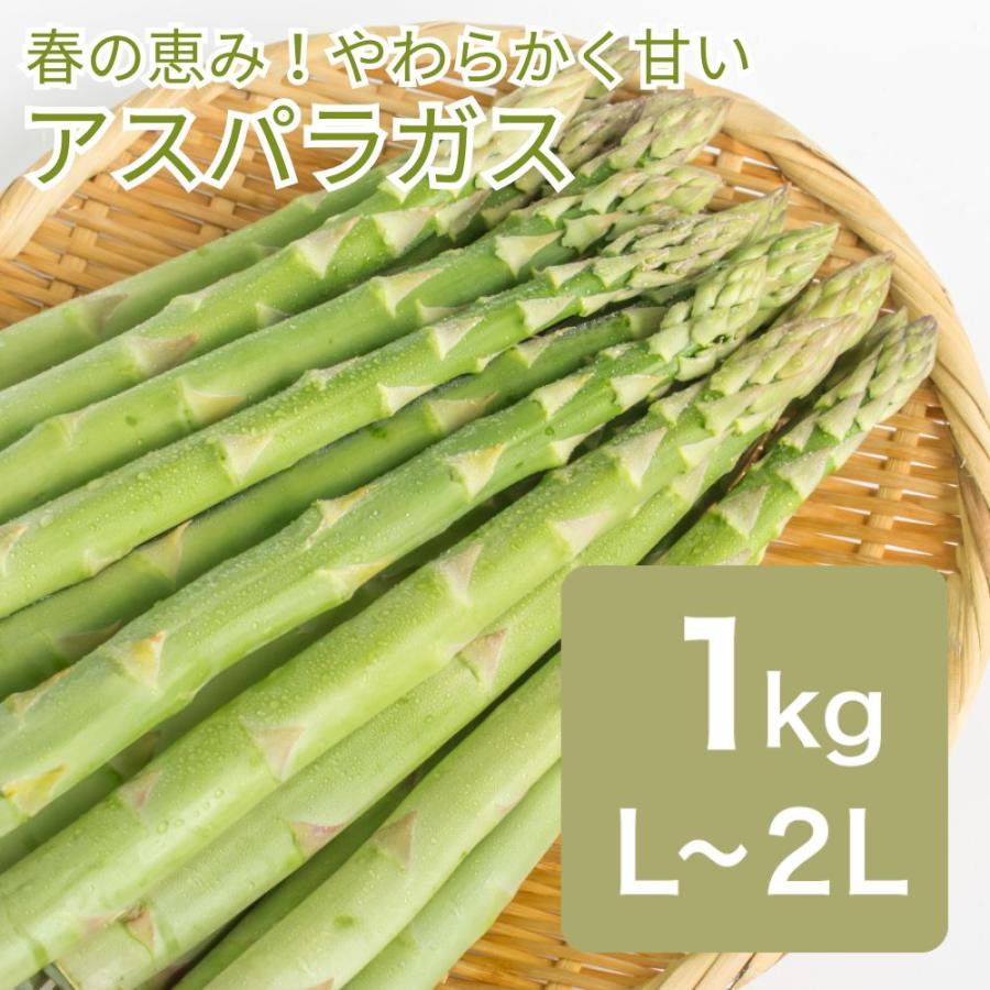 アスパラガス 約1kg L~2Lサイズ 約25〜40本前後【冷蔵発送】/小布施屋 長野県産 小布施町産 お取り寄せ お任せ 直売所から直送 父の日母の日 : 小布施屋 ヤフー店 - 通販 ...