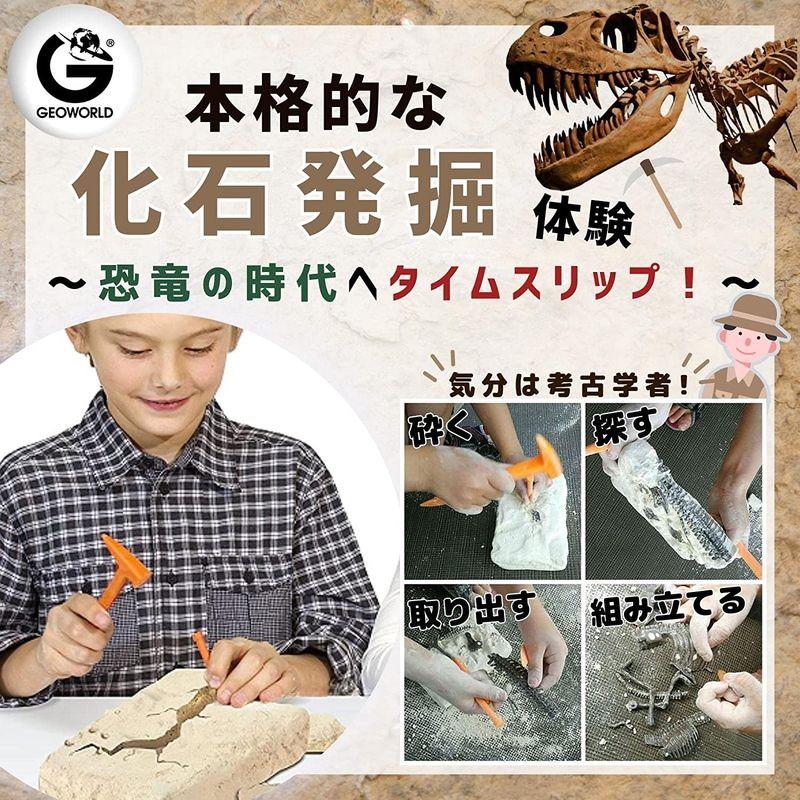Geoworld 原始人 発掘キット アウストラロピテクス・アファレンシス CL1688K 正規品 :20230610021001-01877:occupational - 通販 ...