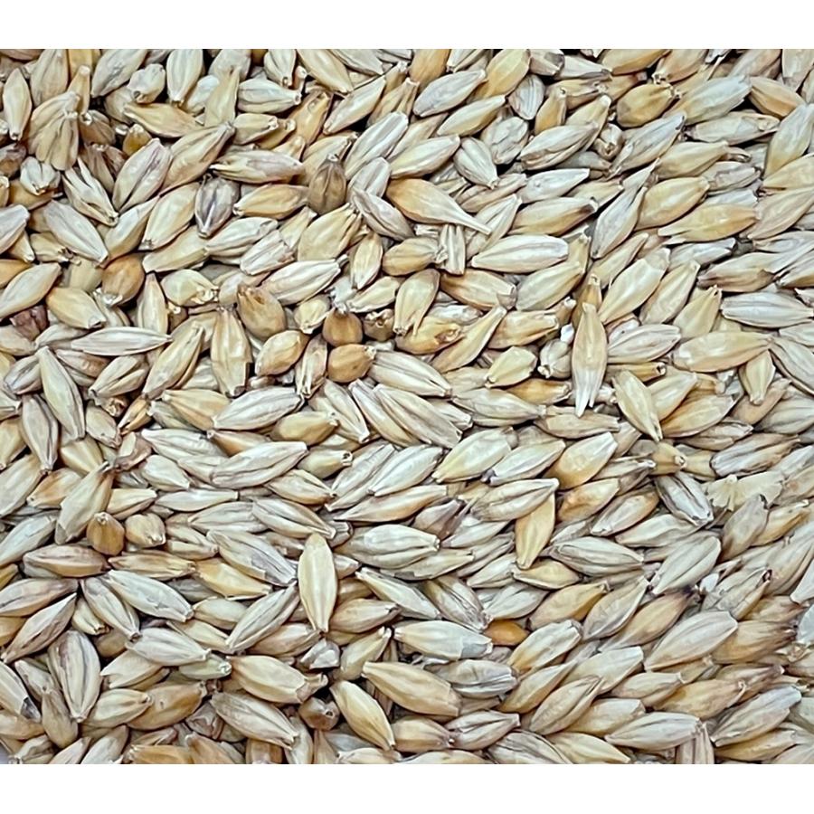 Weyermann カラピルス Carapils （販売単位：1 kg）スペシャルモルト : GNC SHOP - 通販 - Yahoo!ショッピング