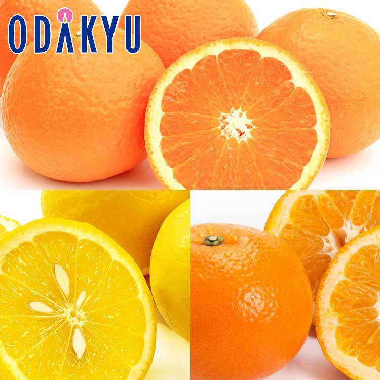 みかん 送料無料 お得なボリューム3選 清見オレンジ ・ 日向夏 弥生紅 約3kg ｜7-12日程度でのお届け※沖縄・離島へは届不可(直) : 小田急百貨店 Yahoo!店 - 通販 ...