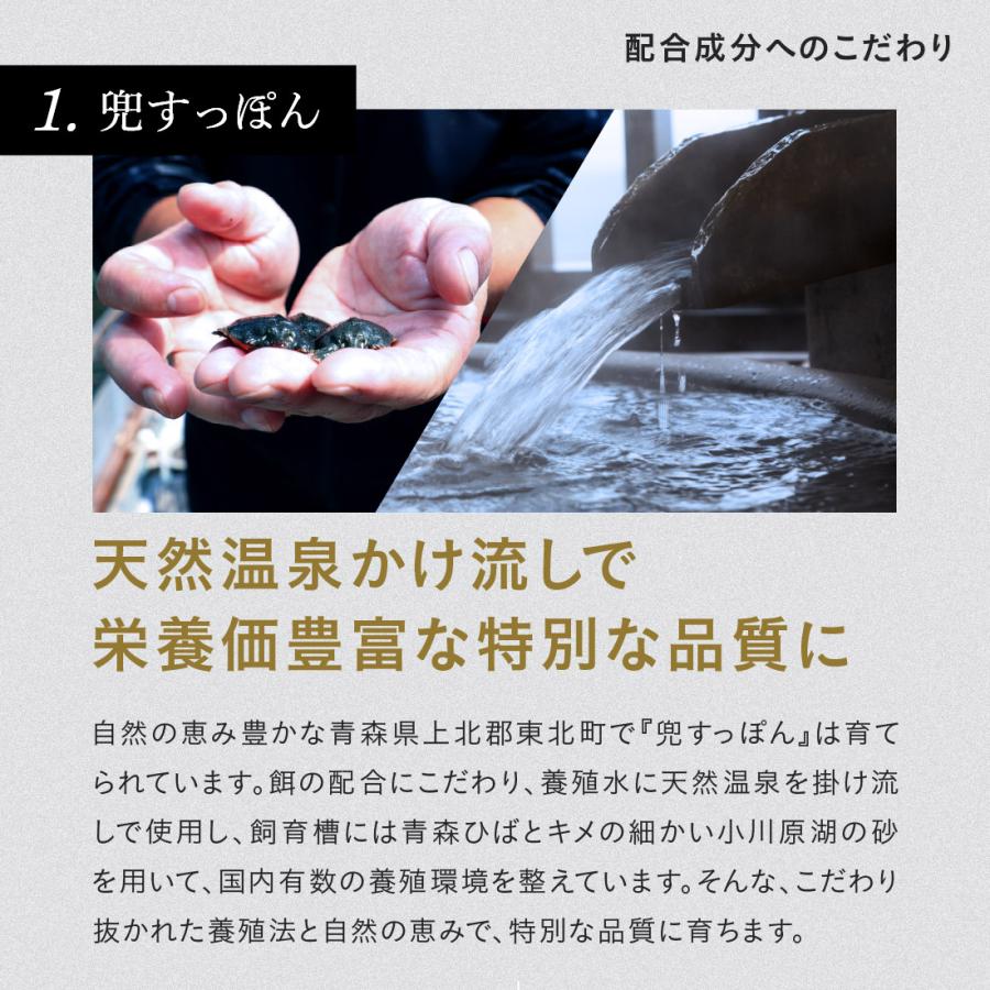 LAGNET ラグネット NIGHT ENERGY SUPPLEMENT （45粒入 約15日分） お試しサイズ ナイトエナジーサプリメント 活力 高麗人参 サプリ : ns-45 : E ...