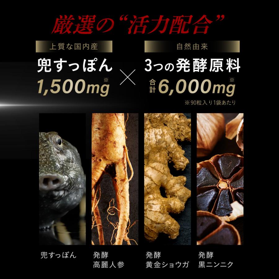 LAGNET ラグネット NIGHT ENERGY SUPPLEMENT （45粒入 約15日分） お試しサイズ ナイトエナジーサプリメント 活力 高麗人参 サプリ : ns-45 : E ...