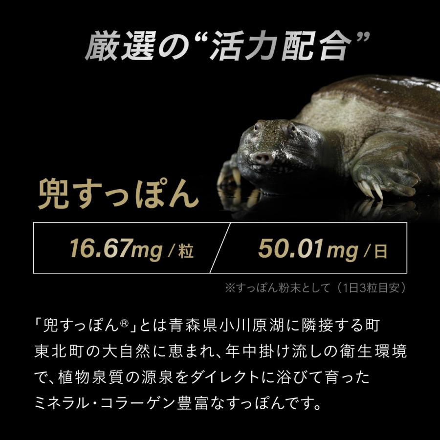 LAGNET ラグネット NIGHT ENERGY SUPPLEMENT （45粒入 約15日分） お試しサイズ ナイトエナジーサプリメント 活力 高麗人参 サプリ : ns-45 : E ...