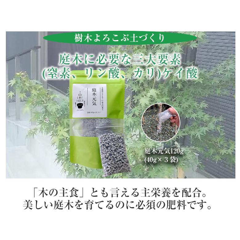 庭木元気 120g（40g×3袋）窒素 リン酸、カリ ケイ酸 たんぱく質 葉緑体 開花 結実 生育 枝分かれ 根の伸長 促す 水分蒸散調節 根 茎 強く : 想いを繋ぐ百貨店 TSUNAGU ...