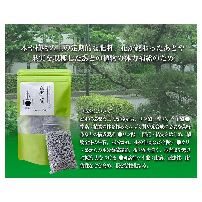 庭木元気 120g（40g×3袋）窒素 リン酸、カリ ケイ酸 たんぱく質 葉緑体 開花 結実 生育 枝分かれ 根の伸長 促す 水分蒸散調節 根 茎 強く : 想いを繋ぐ百貨店 TSUNAGU ...