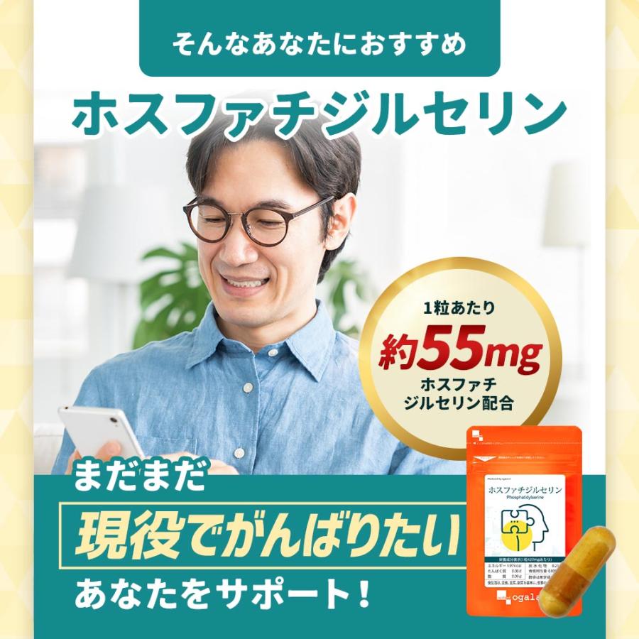 ogaland ホスファチジルセリン (約1ヶ月分) サプリ ogaland ホスファチジルセリン (約1ヶ月分) サプリ