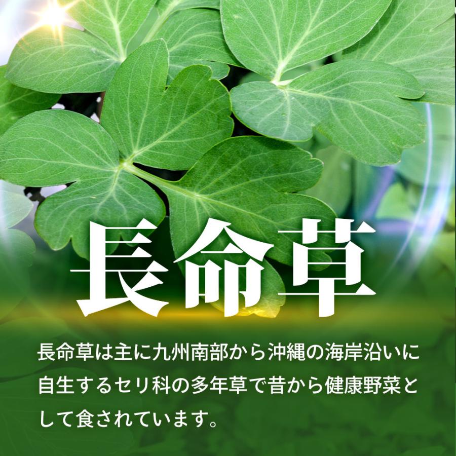 ogaland 国産長命草（約1ヶ月分） 国産 長命草 すっきり した 毎日 イソサミジン ボタンボウフウ ビタミン サプリメント さぷり 健康 美容 ダイエット ポイント利用 : オーガ ...