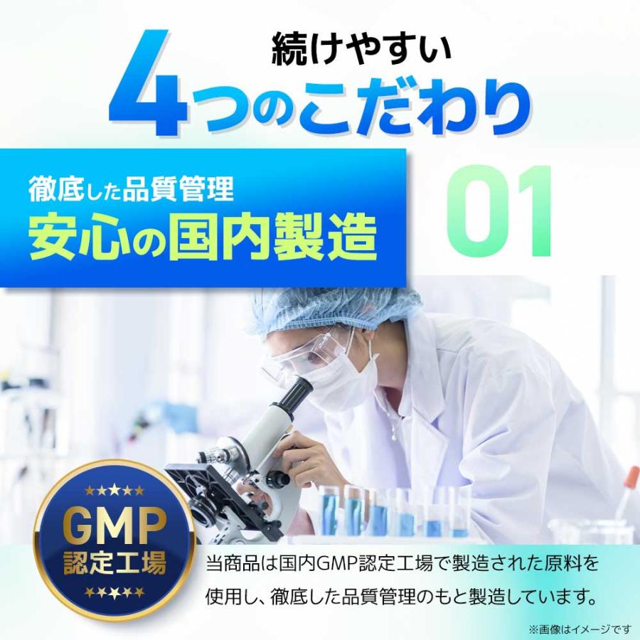 ogaland DANGAN4 （約3ヶ月分）亜鉛 マカ サプリ サプリメント 男性 の 元気 マムシ スッポン サソリ シラジット ミネラル フルボ酸 ポイント利用 : オーガランド ...