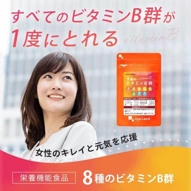 ogaland 8種のビタミンB群 サプリ 約3ヶ月分 ビタミンB1 ogaland 8種のビタミンB群 サプリ 約3ヶ月分 ビタミンB1