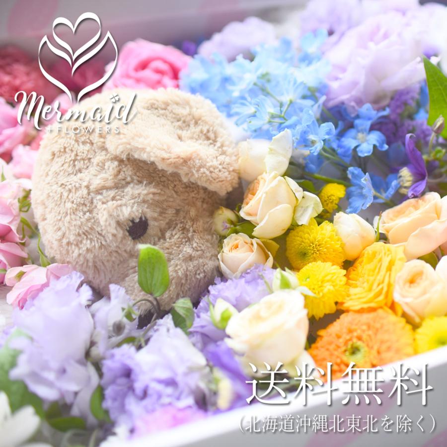 ペット棺 虹の橋セット やすらぎ 棺桶 ペットロス 即日手配 ペット棺 段ボール棺 ペット葬 ペットのお葬式 ペット火葬 お別れ花 ペット供養 納棺 虹の橋 : nijinohashiset ...