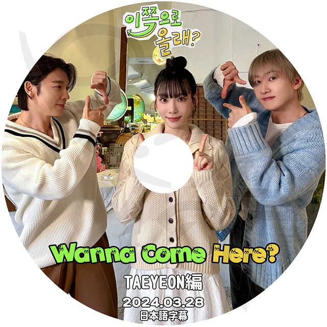 K-POP DVD SUPER JUNIOR D&E WANNA COME HERE? TaeYeon編 2024.03.28 日本語字幕あり SJ スーパージュニア ウニョク ドンヘ ...