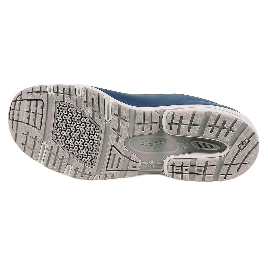 ウォーキングシューズ レディース スニーカー ミズノ 幅広 3e 本革 おしゃれ 通勤 散歩 LD40CT 50028 : fu50028 ...