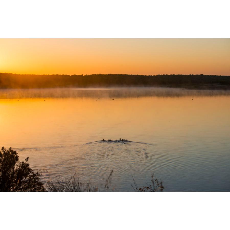 日清オイリオ 食用油 オイル オリーブオイル EXVオリーブオイル オリーブクエスト ディスカバリー28 チリ 200g×2本 送料無料 : 日清オイリオ通信販売ヤフー店 - 通販 ...