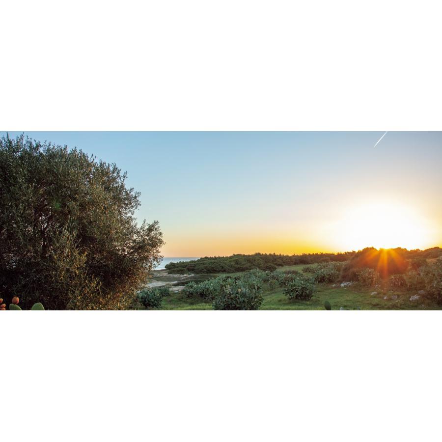 日清オイリオ 【10%OFF】食用油 オイル EXVオリーブオイル オリーブクエスト ディスカバリー29&ルイーザ 有機エキストラバージンオリーブオイル : 日清オイリオ通信販売ヤフー店 ...