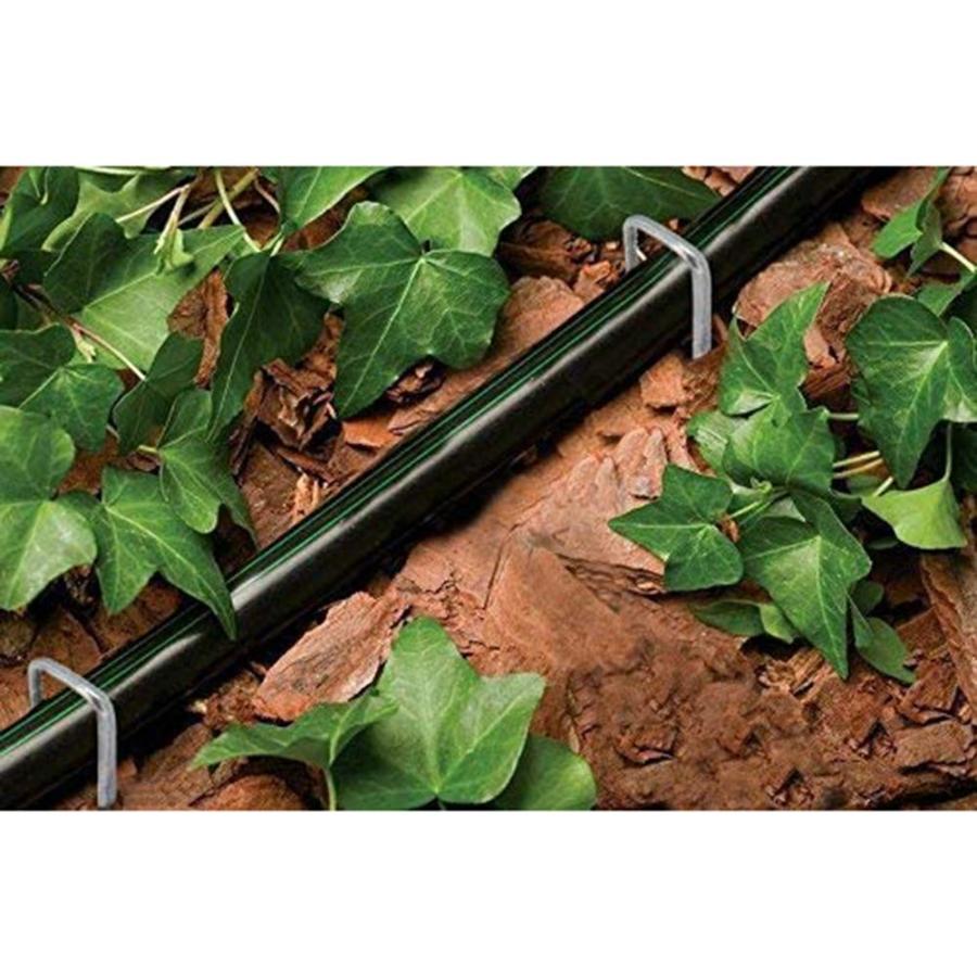 人工芝 おさえピン、10cm Uピン杭 ステンレス鋼 U字ピン ペグ 防草シート 農業用ネット マルチ ザバーン 固定用 O3mm : OiOIOI-STORE - 通販 - Yahoo!ショッピング