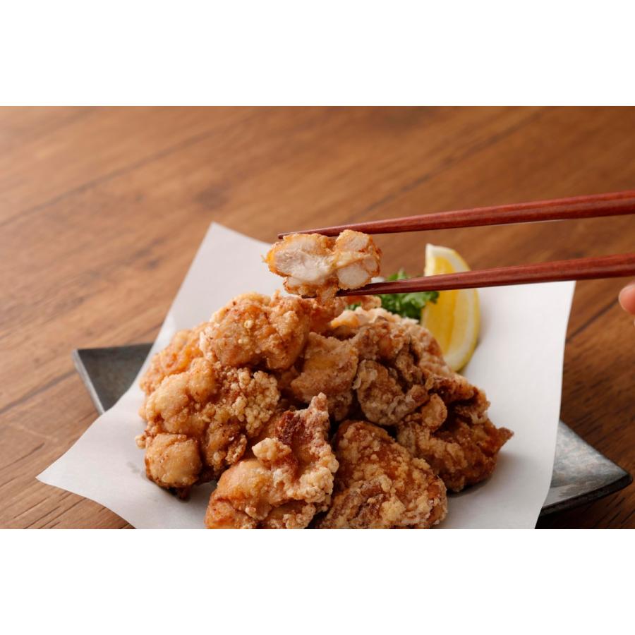 からあげ専門店とりあん 名物熟成醤油唐揚げ盛合せ からあげ専門店 大分県 宇佐市 から揚げグランプリ最高金賞受賞 ギフト 大分県WEB物産展 ...