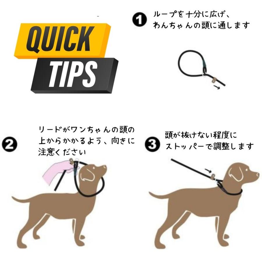 犬用 スリップリード 防水 チョークカラー ロープ (全長183cm/太さ1cm) Mendota メンドータ 小型犬 中型犬 大型犬 [ME028-2] : 犬猫ペット用品輸入オジコペット ...