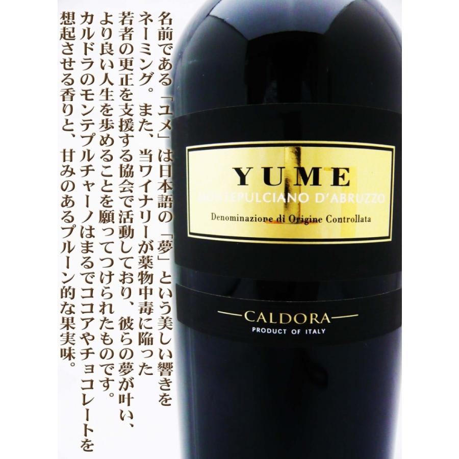 ワイン YUME ＝夢＝ カルドーラ ユメ モンテプルチアーノ・ダブルッツォ 750ml イタリア赤 フルボディ wine : 岡田屋酒店 ...
