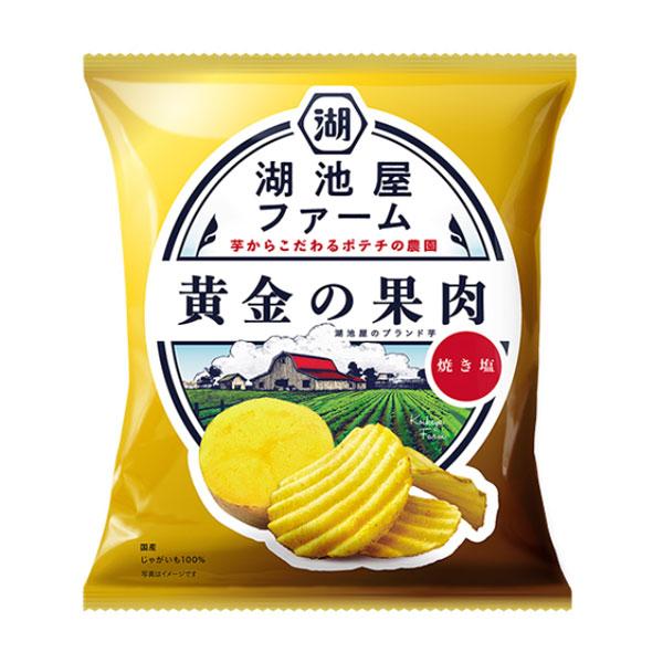 湖池屋 ファーム 黄金の果肉 焼き塩 55g 12コ入り 2025/04/07発売 (4514410174948) : おかしのマーチ - 通販 - Yahoo!ショッピング