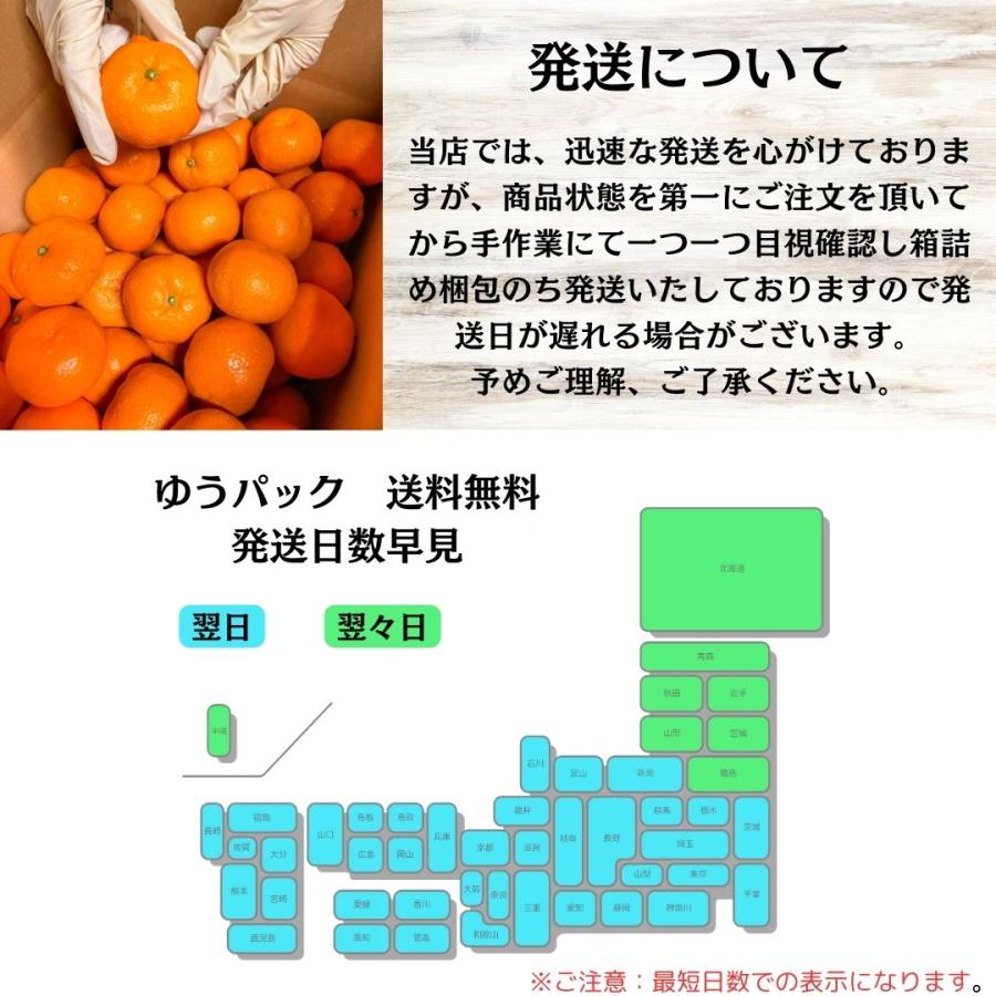 愛媛県西宇和産 【せとか】ご家庭用【2L〜4L】 約2.5kg 柑橘の大トロ みかん : 新鮮・愛媛 おかちゃん青果 - 通販 - Yahoo!ショッピング