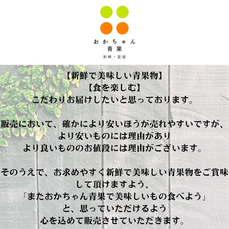 愛媛県西宇和産 【せとか】ご家庭用【2L〜4L】 約2.5kg 柑橘の大トロ みかん : 新鮮・愛媛 おかちゃん青果 - 通販 - Yahoo!ショッピング