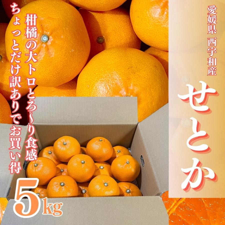 愛媛県西宇和産 【せとか】ご家庭用 【2L〜5L】 5kg 柑橘の大トロ みかん : 新鮮・愛媛 おかちゃん青果 - 通販 - Yahoo!ショッピング