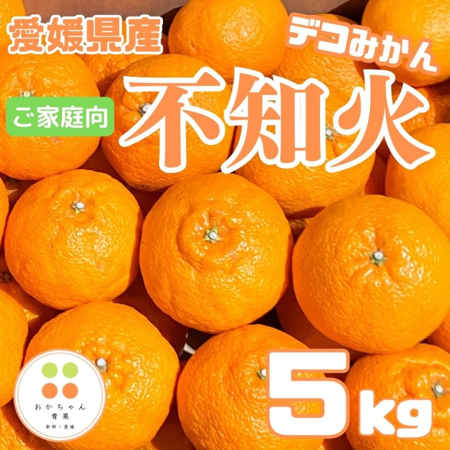 迅速発送 愛媛県産 ご家庭向 不知火 人気サイズM〜L 5kg デコポン同品種 デコみかん : 新鮮・愛媛 おかちゃん青果 - 通販 - Yahoo!ショッピング