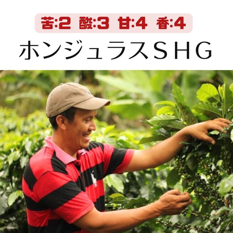 ホンジュラスSHG 100g : 岡山珈琲館 - 通販 - Yahoo!ショッピング