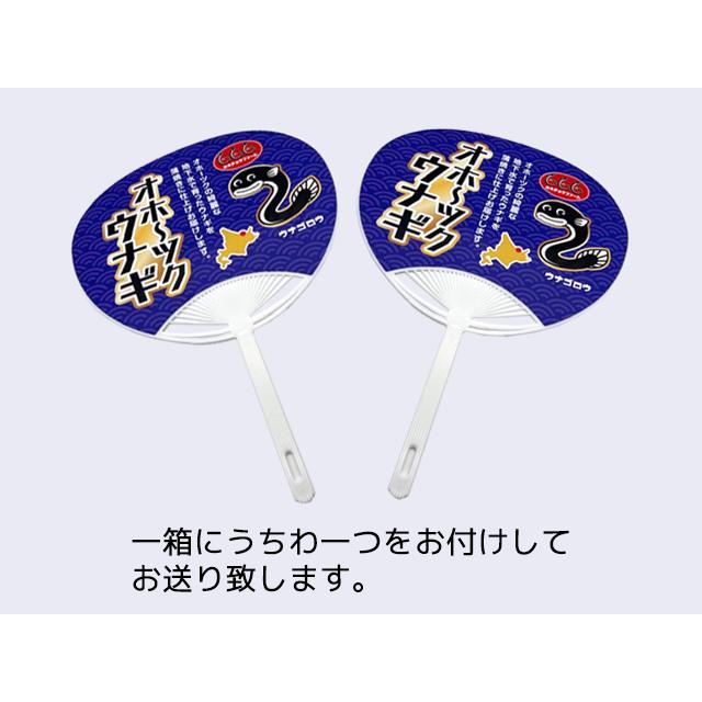 オホーツクウナギ：160g【1尾】 : ウナゴロウ - 通販 - Yahoo!ショッピング