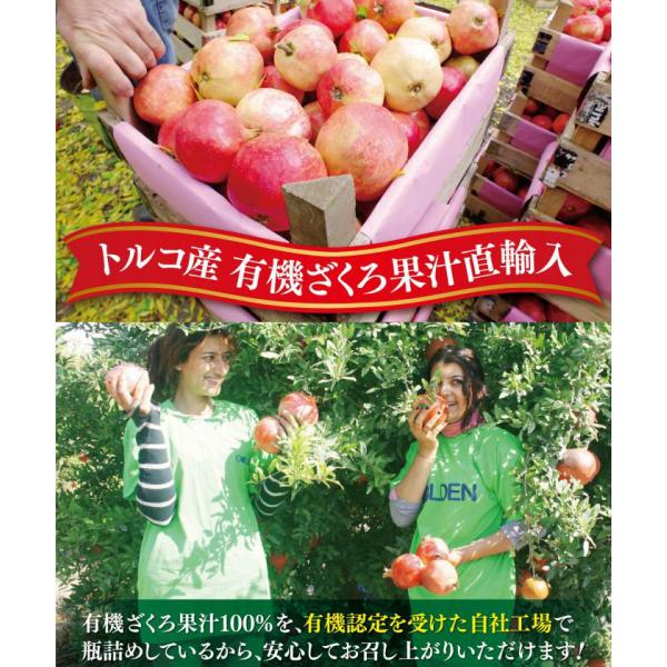 ざくろジュース 100% 野田ハニー 有機ざくろジュース100% 710ml瓶 2本セット : ダイエットラボ - 通販 - Yahoo!ショッピング