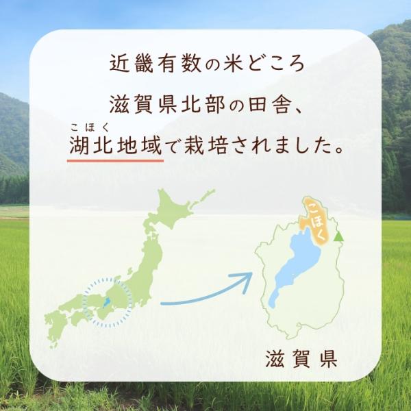 令和4年 滋賀県湖北産 阿辻さんのコシヒカリ 5kg 【食味最高ランク特A 3年連続受賞・環境こだわり米】【白米・玄米】 :atsu-kos-k05:お米屋さんYahoo!店 - 通販 ...
