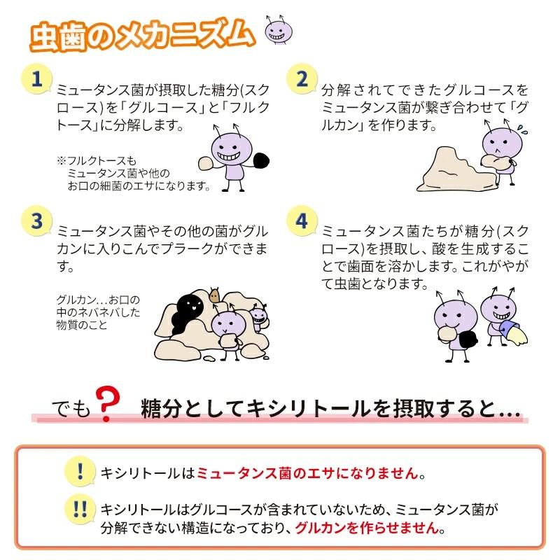 XYLITOL ロッテ 味長続き キシリトールガム ボトルタイプ 153g×12本 送料無料 キシリトール100％ 歯科専売 : お口の専門店 - 通販 - Yahoo!ショッピング