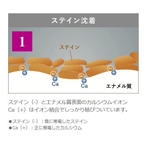 LION 歯を白くするホワイトニング ブリリアントモアW ダブル 選べる3種フレーバー 歯磨き粉 1本 90g 6本 自宅で白く 歯磨き粉 美白 : スマイルアップ お口のメンテ オーラルケア ...