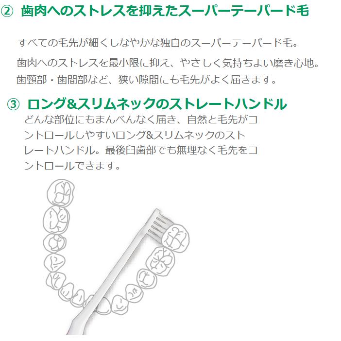 LION DENT. Systema AX 44M ライオン 歯ブラシ デント システマ エーエックス 12本 超薄型ヘッド ハブラシ : スマイルアップ お口のメンテ オーラルケア専門店 ...