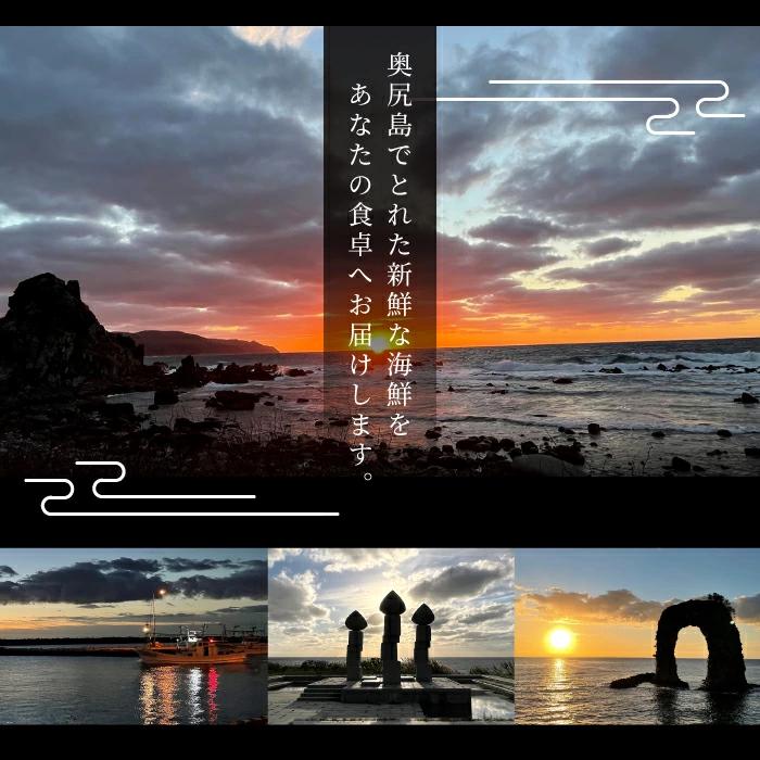 北海道奥尻島 塩水生うに ミョウバン・添加物 不使用 80g×1P : seaurchin-01 : 奥尻島 神威 - 通販 - Yahoo!ショッピング