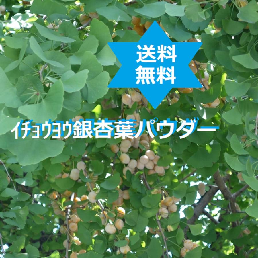 イチョウヨウチャマツ 銀杏葉茶末 500g1袋 (銀杏葉パウダー)送料当店負担・イチョウヨウ茶パウダ-・高級滅菌・無添加安心滅菌茶葉パウダ- : くすり屋 - 通販 - Yahoo!ショッピング