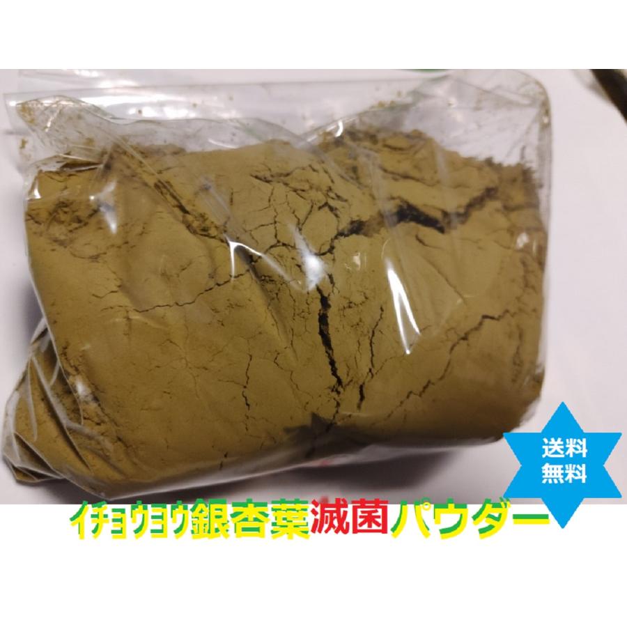 イチョウヨウチャマツ 銀杏葉茶末 500g1袋 (銀杏葉パウダー)送料当店負担・イチョウヨウ茶パウダ-・高級滅菌・無添加安心滅菌茶葉パウダ- : くすり屋 - 通販 - Yahoo!ショッピング