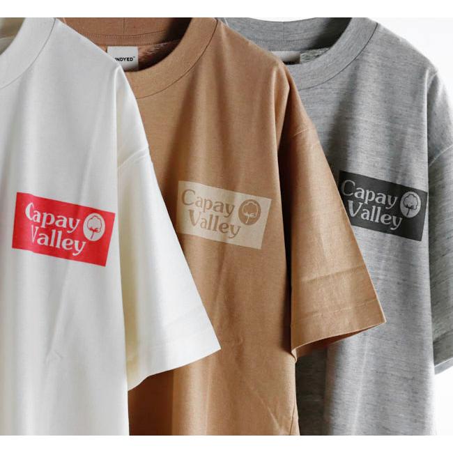 SALE30%OFF //UNDYED STANDARD アンダイドスタンダード 30PV S/S PtTee