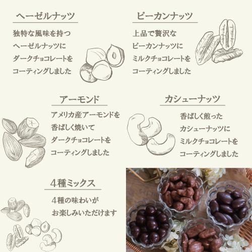 ナッツチョコ ピーカンナッツチョコ 200g（20g×10） 小分け 業務用 グルメ : みの屋ヤフー店 - 通販 - Yahoo!ショッピング