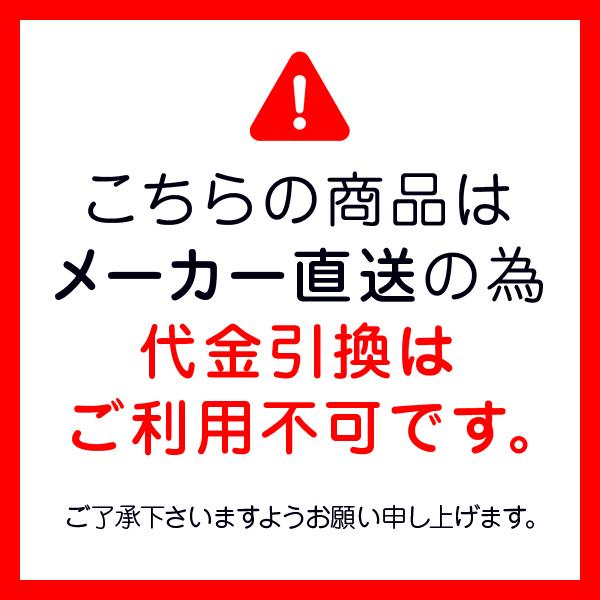 オンリースタイル リン酸鉄リチウムイオンバッテリー 200Ah 12v + 高性能急速充電器 CX1250 セット 2022モデル 直列接続不可 : サブバッテリーシステム専門店ワンゲイン ...