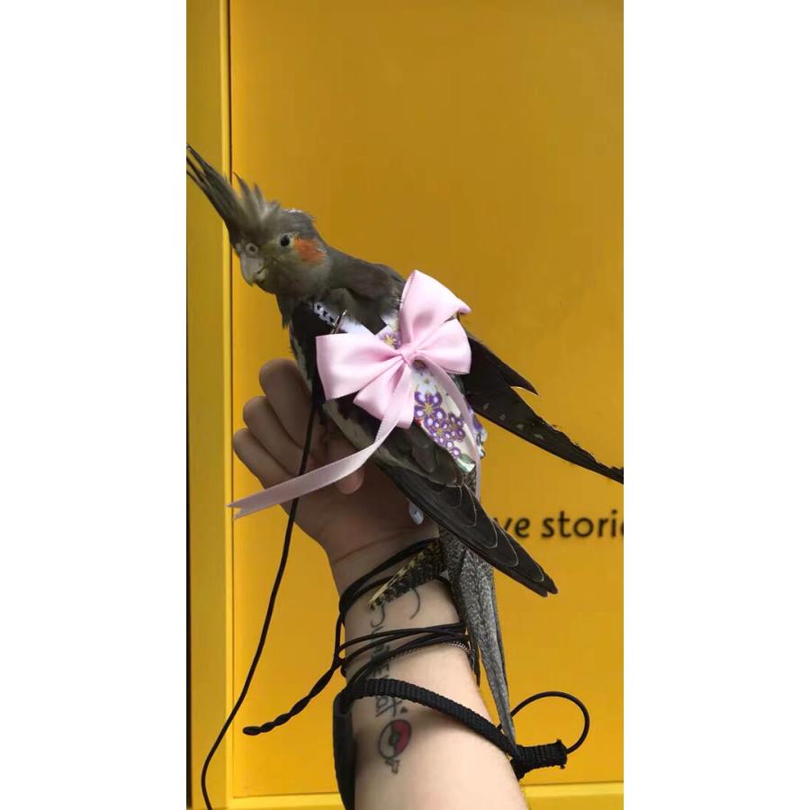 バードスーツ フライトスーツ プープポーチ 糞対策 梅柄 Mサイズ : One Two Studioヤフーショップ - 通販 - Yahoo!ショッピング