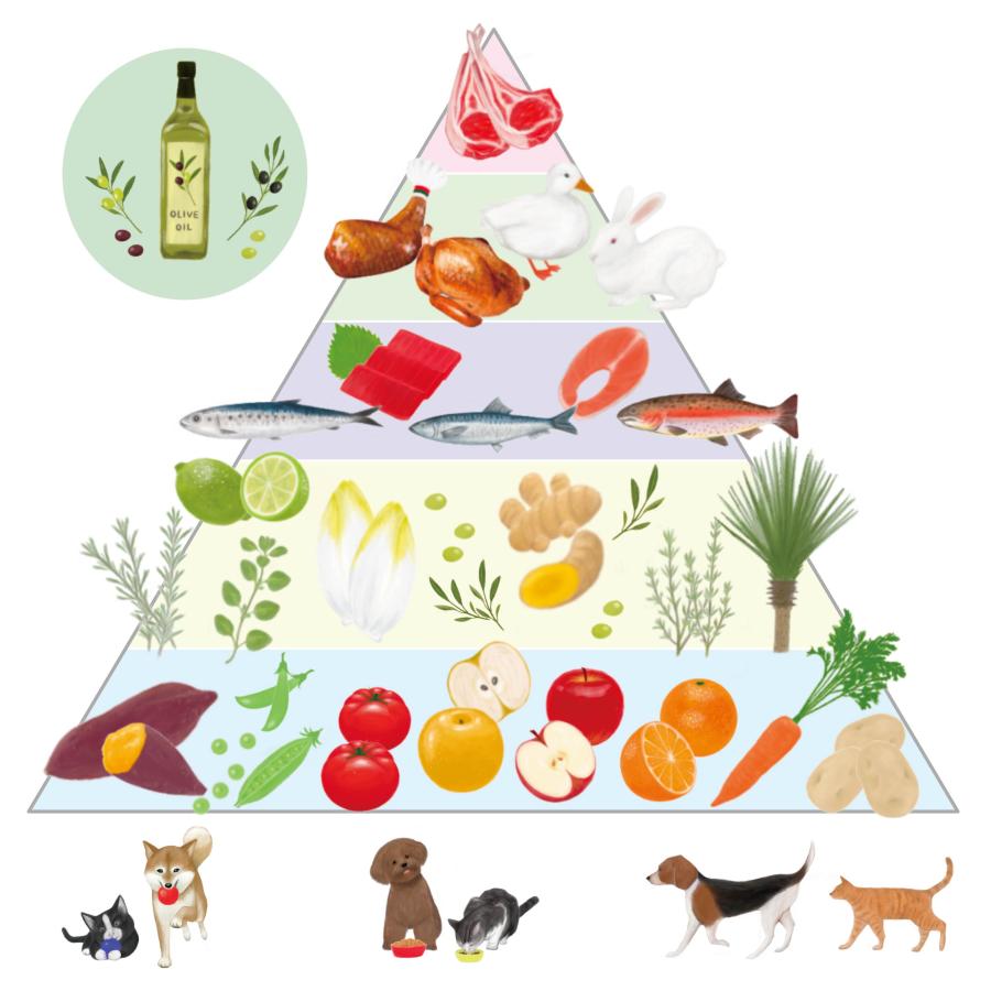 アンブロシア ドッグフード HMN ターキー 5kg : フォアモストオンラインショップ - 通販 - Yahoo!ショッピング