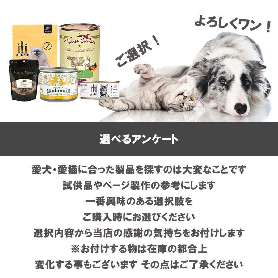 テラカニス 愛犬用 マーケットラグー 385g 選べる12缶 送料無料 : フォアモストオンラインショップ - 通販 - Yahoo!ショッピング