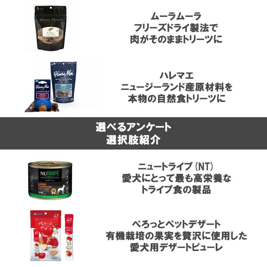 テラカニス 愛犬用 マーケットラグー 385g 選べる12缶 送料無料 : フォアモストオンラインショップ - 通販 - Yahoo!ショッピング