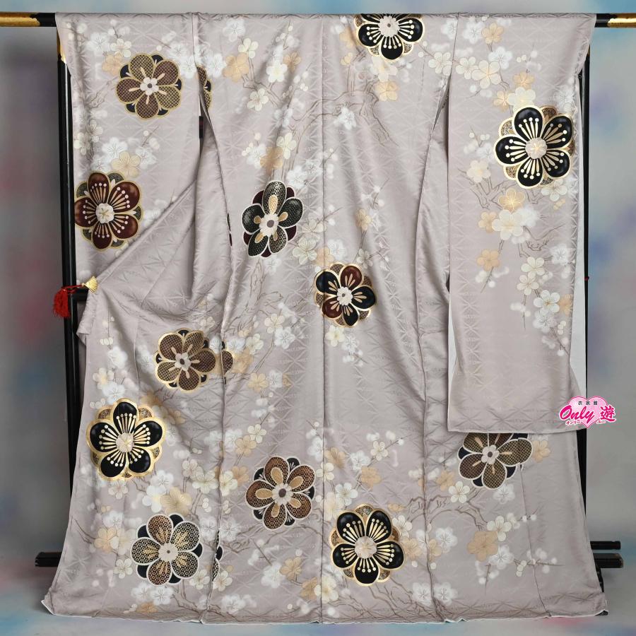 C100-BN1000-L24/振袖セット/レンタル/aoi×レイラニ/20-1187BN/Lサイズ/レディース/成人式/振袖/ブランド/正絹 ...