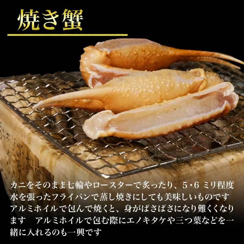 ギフト (カニ かに 蟹) カニ 生 ズワイガニ 加熱用4L~5L 約2kg(約5~6肩前後) 鍋セット 送料無料] : 2k45lnzw-11030 : 北前船の贈り物 - 通販 ...