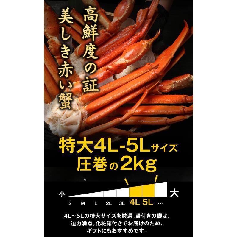 ギフト ズワイガニ 2kg カニ 特大 4L~5L かに 蟹 ボイル セール 2kg(解凍前正味1.6kg 約5~6肩前後) 3~6人前 (贈答用 化粧箱) グルメ : 2k4lbzw ...
